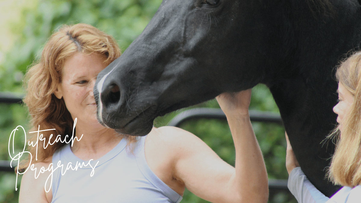 Outreach – Heartland Haven Foundation